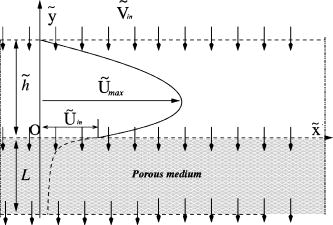 Stability and admittance of a channel flow over a permeable interface | Physics of Fluids | AIP ...