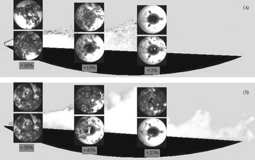 Internal structure and dynamics of sheet cavitation | Physics of Fluids ...