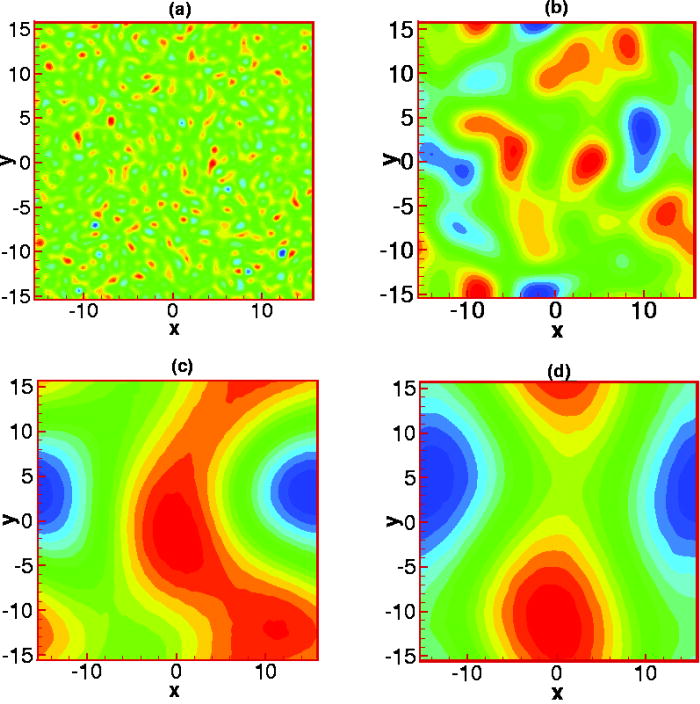 Nonlinear structures, spectral features, and correlations in a nearly ...