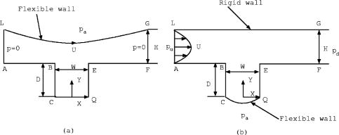 Two-dimensional simulations of flow near a cavity and a flexible solid ...