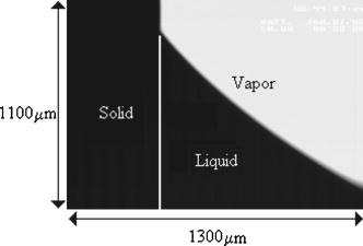 Dynamic wetting of shear thinning fluids | Physics of Fluids | AIP Publishing