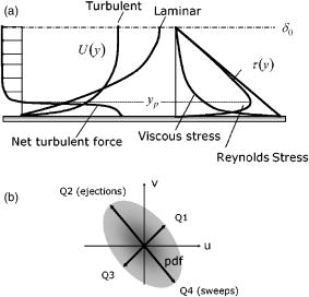 Hairpin vortex organization in wall turbulencea) | Physics of Fluids ...
