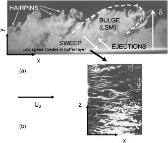 Hairpin vortex organization in wall turbulencea) | Physics of Fluids ...