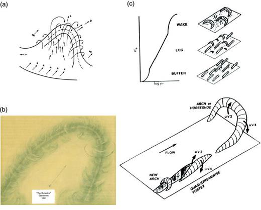 Hairpin vortex organization in wall turbulencea) | Physics of Fluids ...