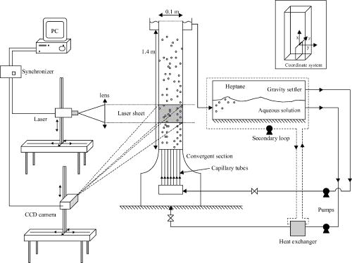 Fluctuating motion in a homogeneous liquid-liquid dispersed flow at ...
