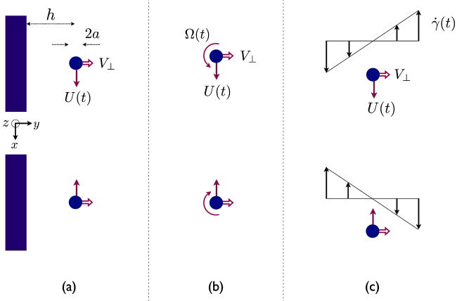 Continuous breakdown of Purcell’s scallop theorem with inertia ...