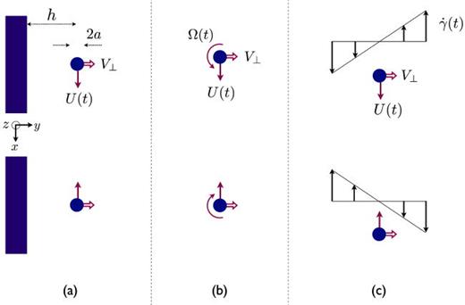 Continuous breakdown of Purcell’s scallop theorem with inertia ...