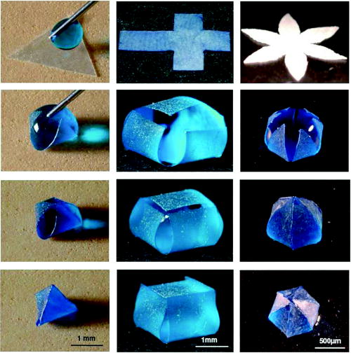 Capillary origami | Physics of Fluids | AIP Publishing