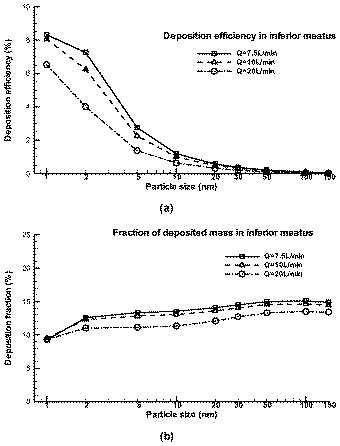 Dilute suspension flow with nanoparticle deposition in a representative nasal airway model ...