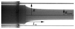 Pearl and mushroom instability patterns in two miscible fluids' core annular flows | Physics of ...
