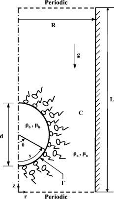 The effect of soluble surfactant on the transient motion of a buoyancy ...