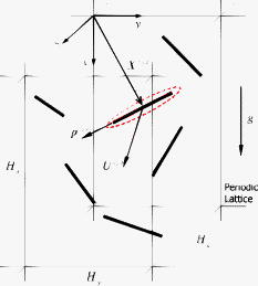Structure and dynamics of dilute suspensions of finite-Reynolds-number ...