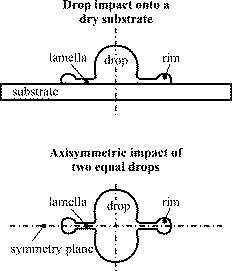 Inertia dominated drop collisions. I. On the universal flow in the lamella | Physics of Fluids ...