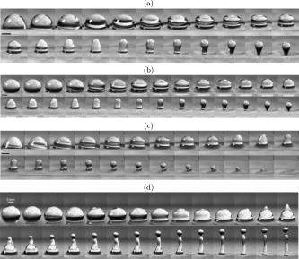The influence of surface tension gradients on drop coalescence ...