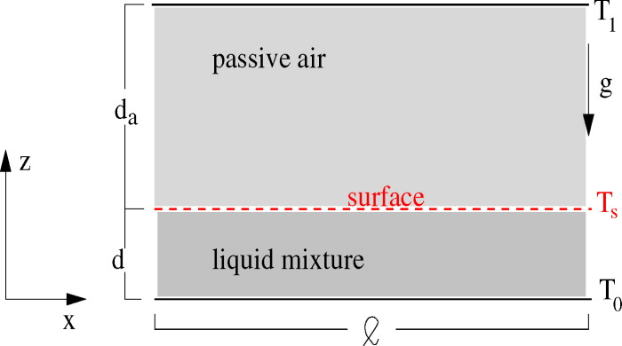 Thin film lubrication dynamics of a binary mixture: Example of an ...