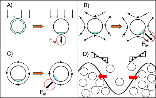 Lateral drift and concentration instability in a suspension of bubbles ...
