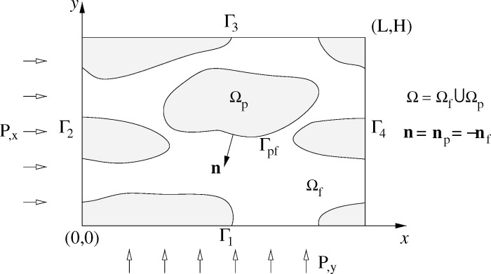 Numerical Simulations Of Stokes Brinkman Equations For Permeability Prediction Of Dual Scale