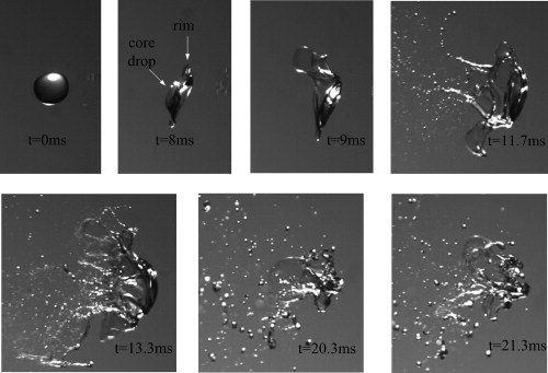 Morphological classification of low viscosity drop bag breakup in a ...