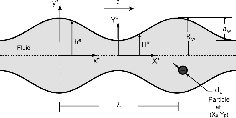 Particle dispersion in two-dimensional peristaltic flow | Physics of ...