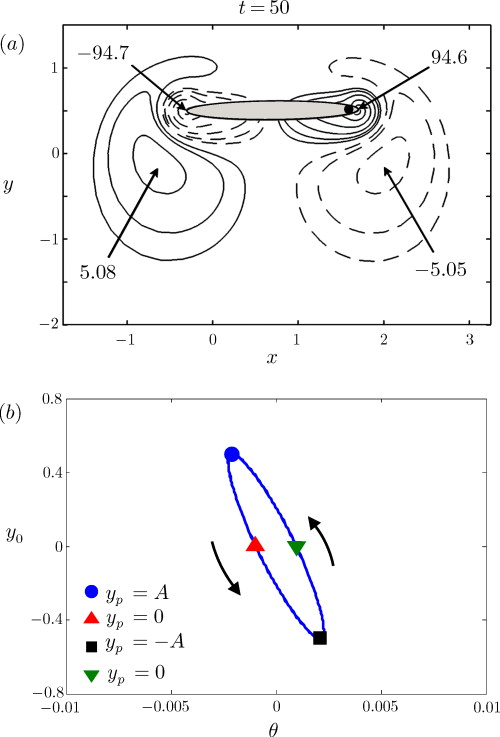 Surprising Behaviors In Flapping Locomotion With Passive Pitching