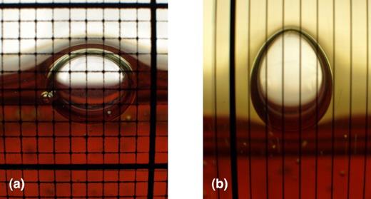 Pulling bubbles from a bath | Physics of Fluids | AIP Publishing