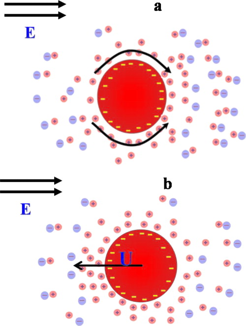 On the effect of hydrodynamic slip on the polarization of a ...