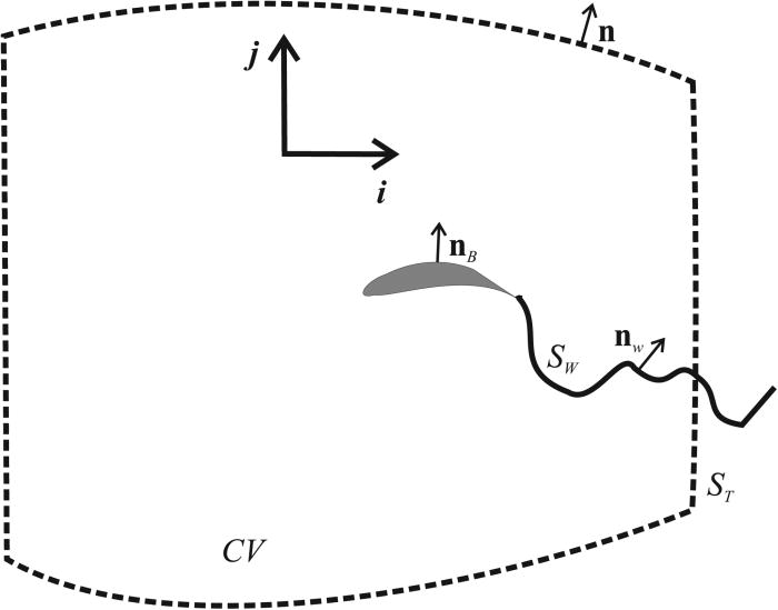 Determination of the instantaneous forces on flapping wings from a ...