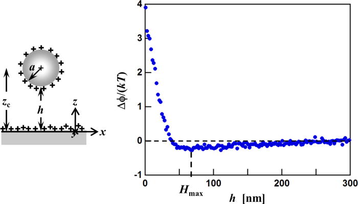 Dynamics of suspended colloidal particles near a wall: Implications for ...