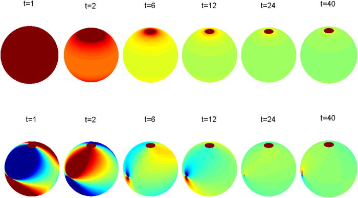 Nonlinear viscous fluid patterns in a thin rotating spherical domain ...