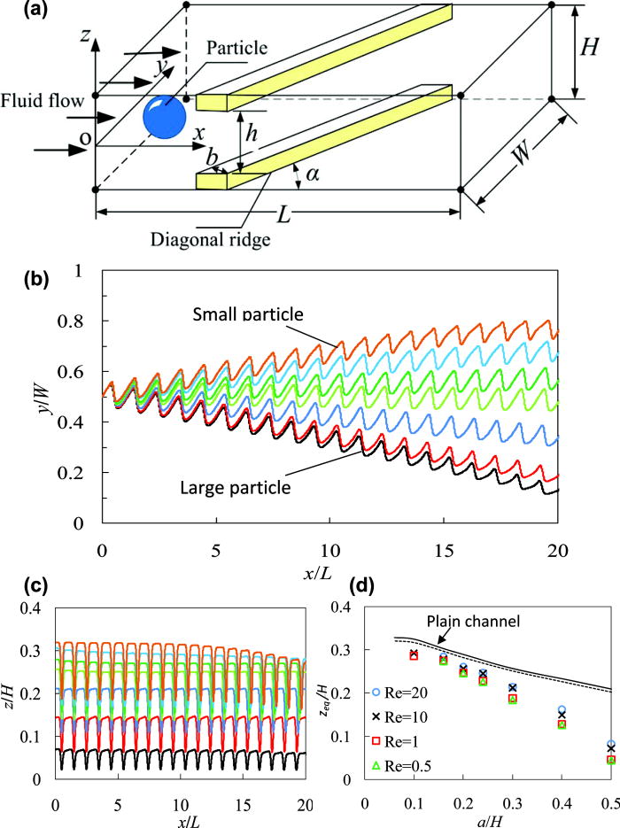 Hydrodynamic sorting of microparticles by size in ridged microchannels ...