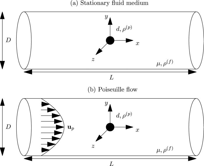 Nanoparticle Brownian motion and hydrodynamic interactions in the presence of flow fields ...