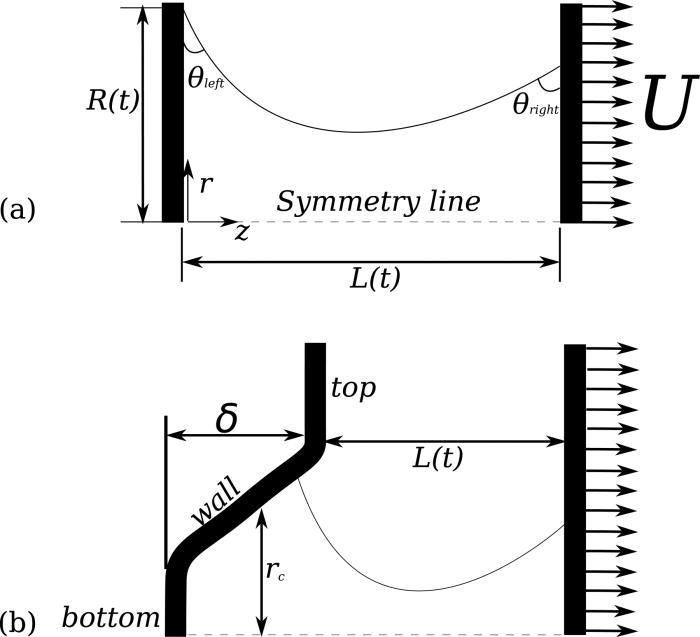 Stretching liquid bridges with moving contact lines: The role of ...