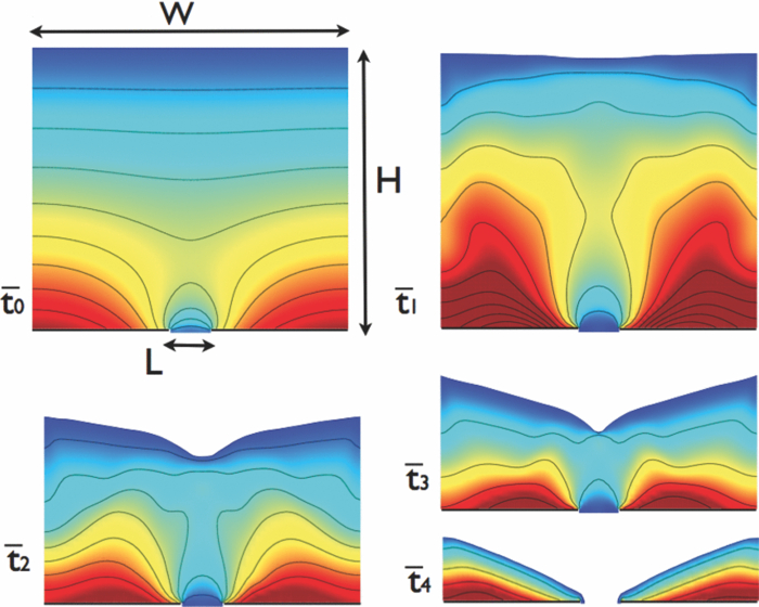 The granular silo as a continuum plastic flow: The hour-glass vs the ...