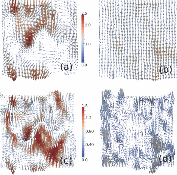 Simulations of dilute sedimenting suspensions at finite-particle ...