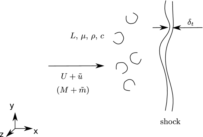 Shock structure in shock-turbulence interactions | Physics of Fluids ...
