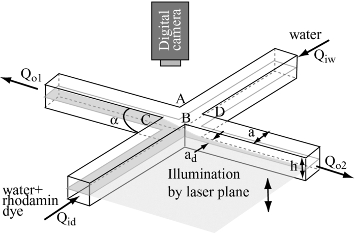 Stokes flow paths separation and recirculation cells in X-junctions of ...