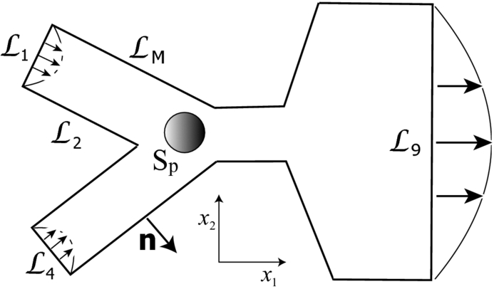 A moving-frame boundary-integral method for particle transport in ...