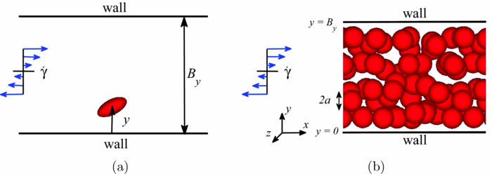 Depletion layer formation in suspensions of elastic capsules in ...