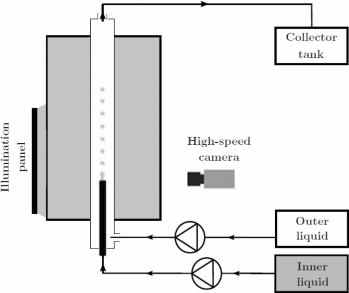 Liquid injection in confined co-flow: Application to portal vein ...