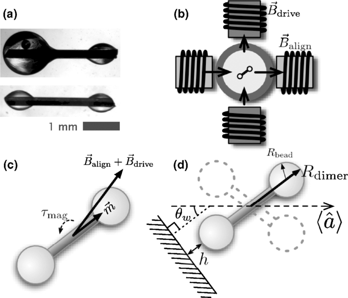 Fluid elasticity can enable propulsion at low Reynolds number | Physics ...