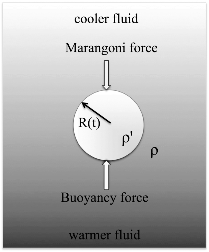 Bubble motion and size variation during thermal migration with phase ...