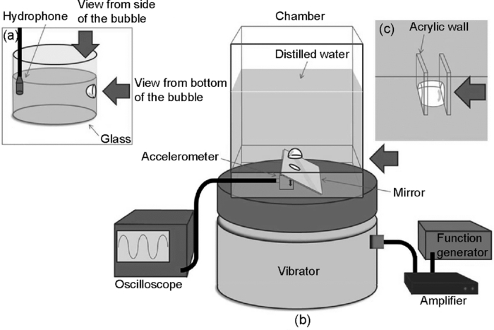 Mechanism of bubble detachment from vibrating walls | Physics of Fluids ...