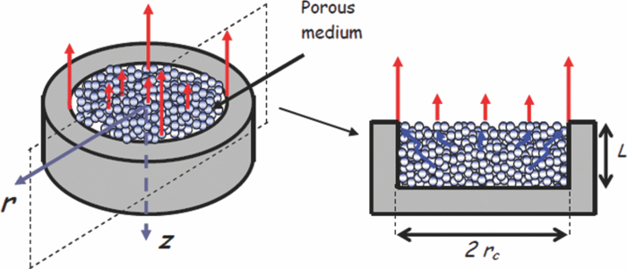Porous medium coffee ring effect and other factors affecting the first ...