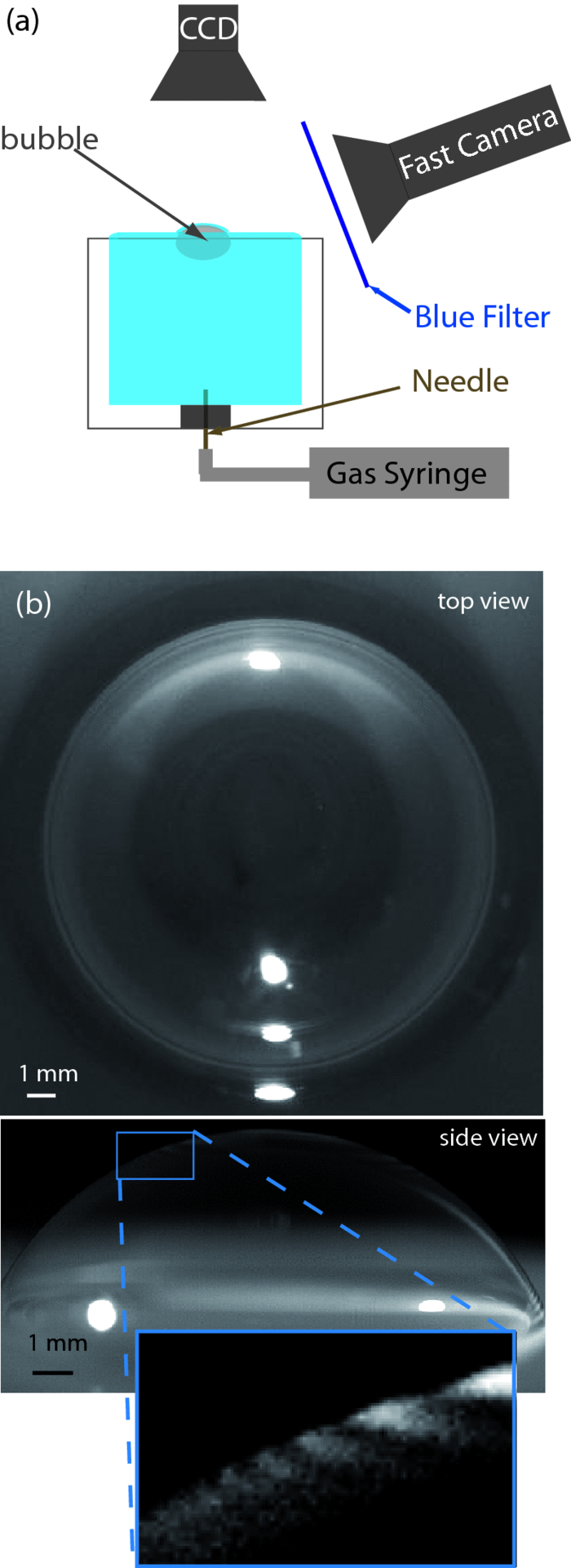 Film drainage of viscous liquid on top of bare bubble: Influence of the ...