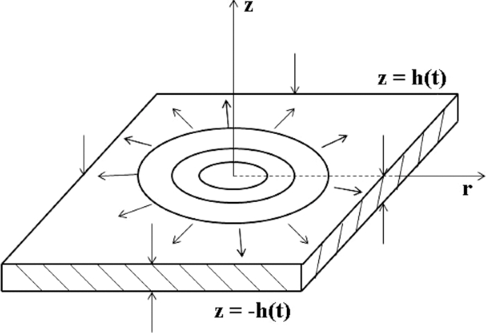Biaxial extensional motion of an inertially driven radially expanding ...