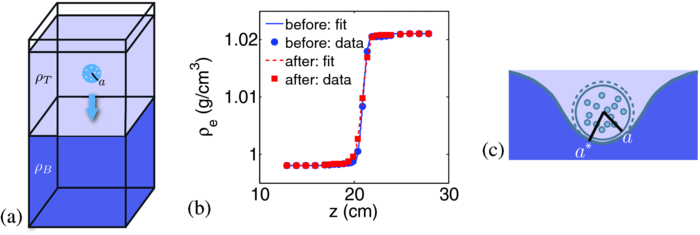 Retention and entrainment effects: Experiments and theory for porous ...