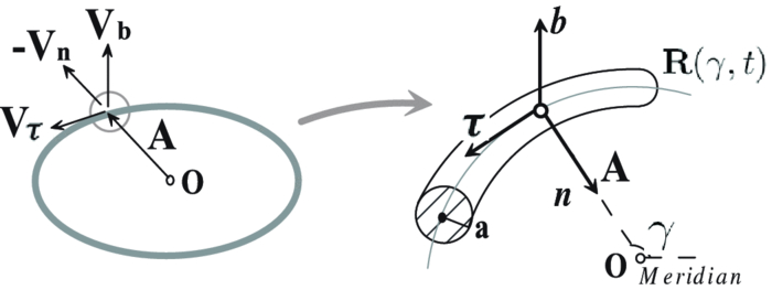 Destabilization of a liquid ring in the binormal direction | Physics of ...