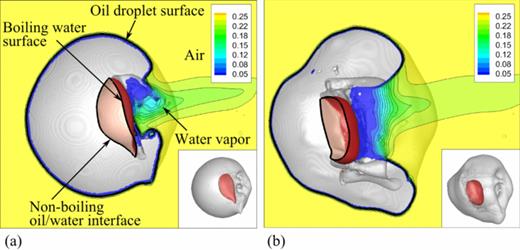 Physics of puffing and microexplosion of emulsion fuel droplets ...