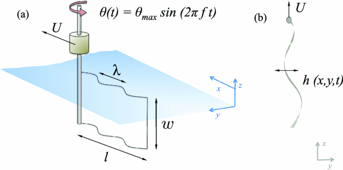 Vortex-induced drag and the role of aspect ratio in undulatory swimmers ...