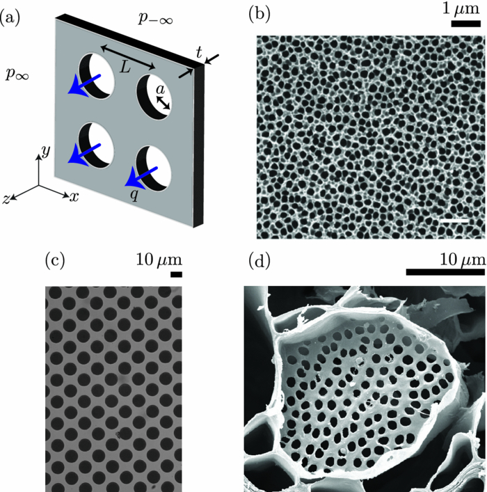 Flow rate through microfilters: Influence of the pore size distribution ...